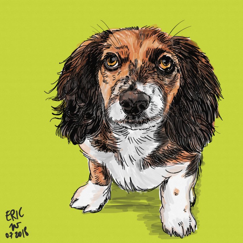 roux boy.jpg – The Space Wanderer